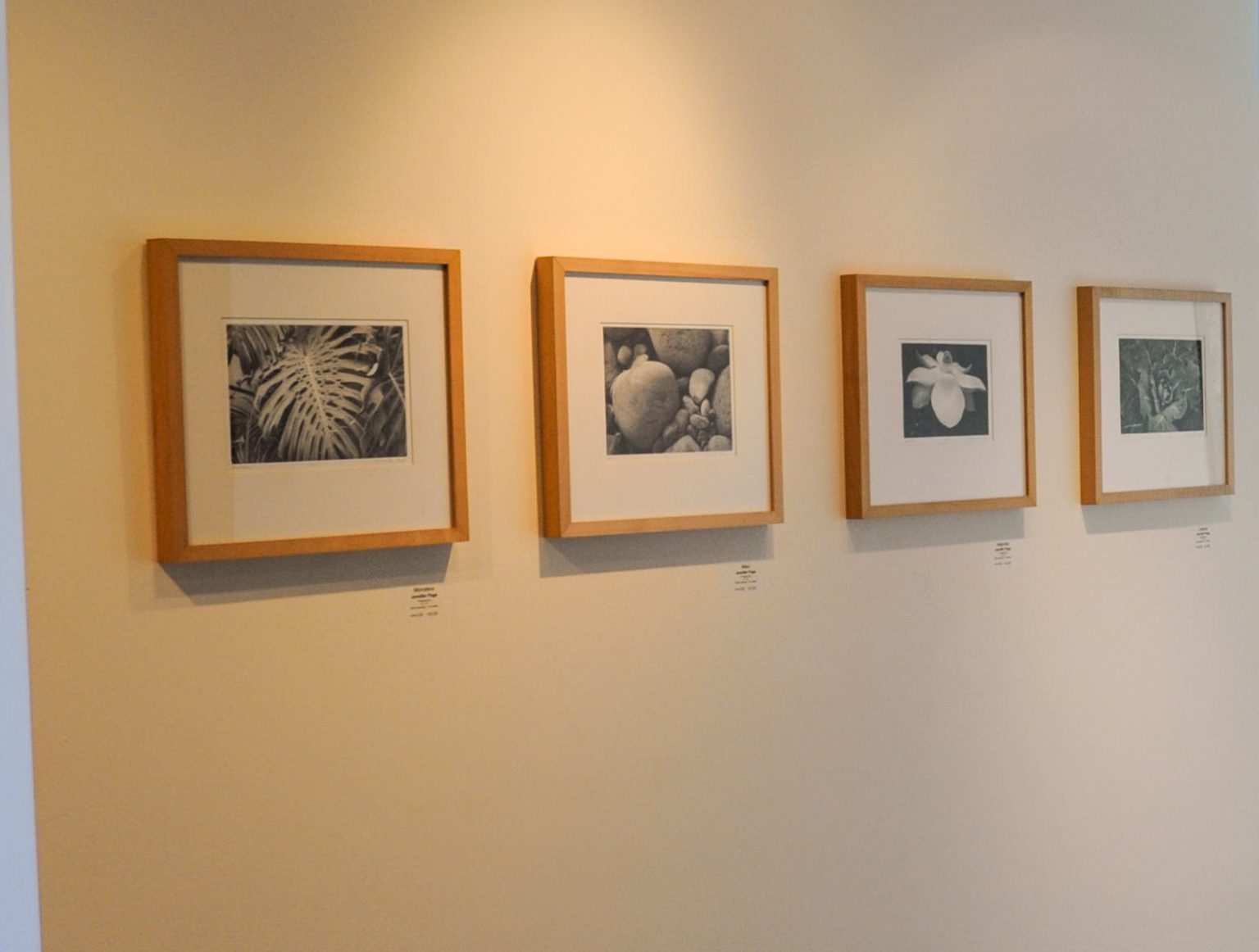 Proof: Printmaking in Eastern North Carolina | Wilma W. Daniels Gallery